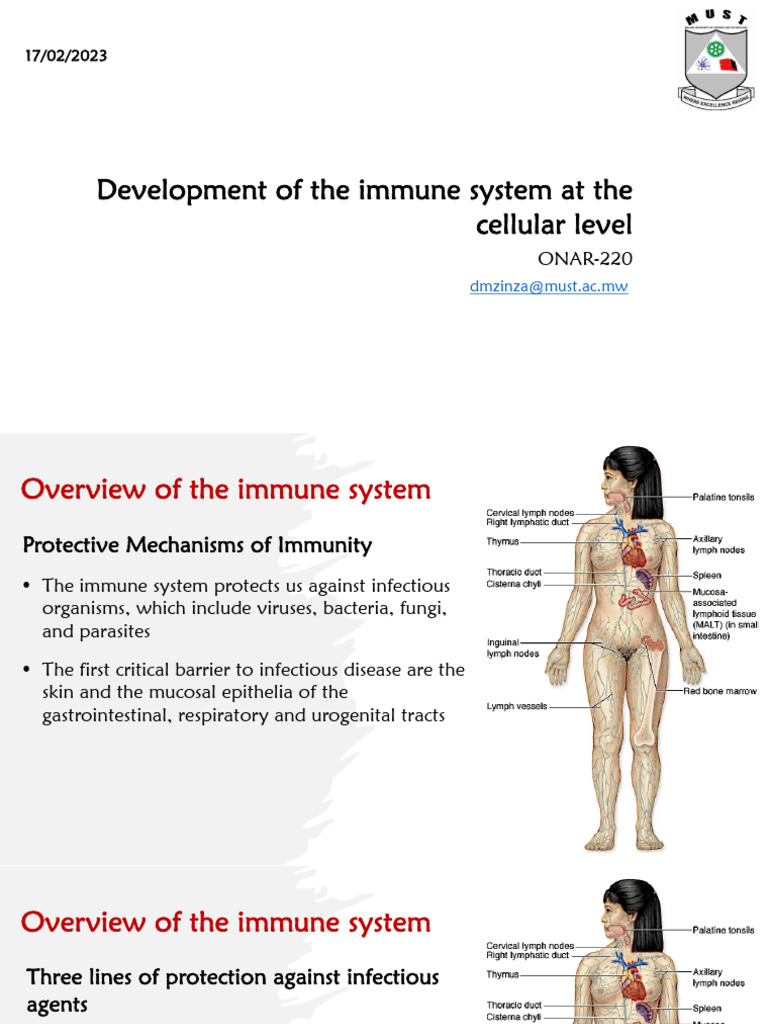 immune-1 | PDF | Immune System | Innate Immune System