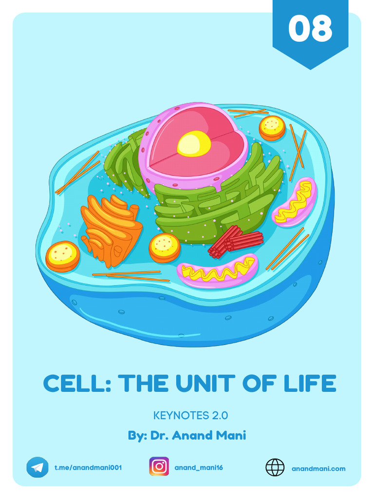 Overview of Cell Structure and Types | PDF | Cell (Biology) | Eukaryotes