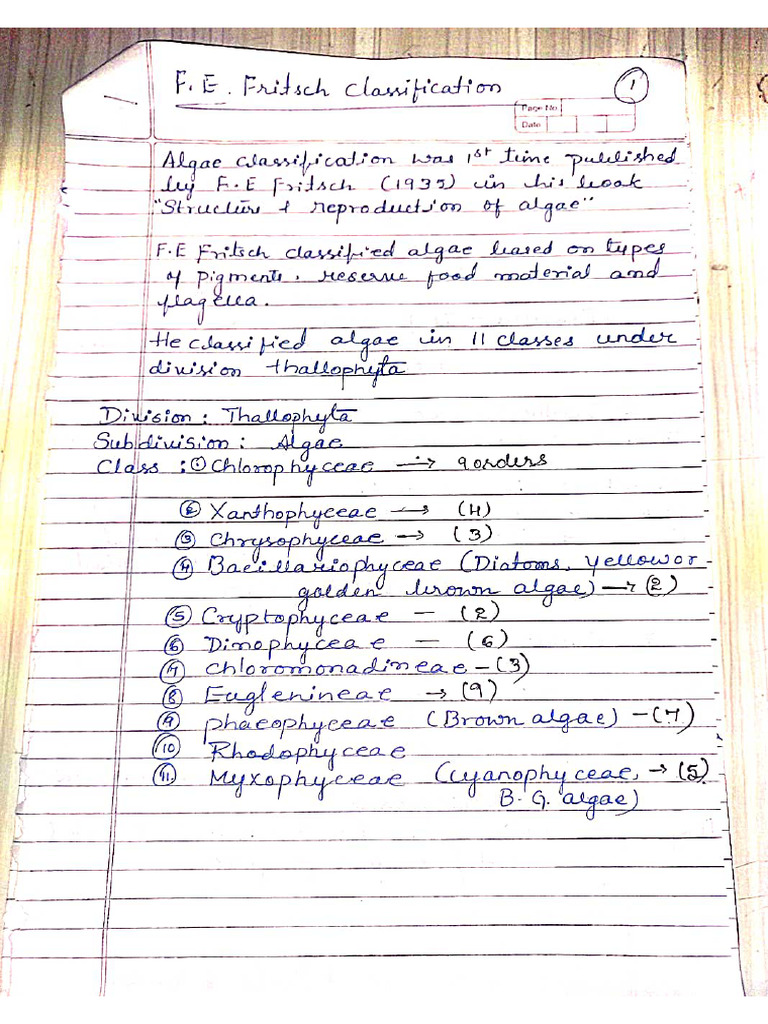 FE Fritsch Classification and Pigments | PDF