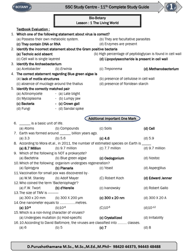 Namma Kalvi 11th Bio Botany Lesson 12 Study Materials English Medium ...