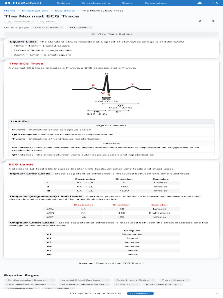 The Normal ECG Trace ECG Basics - MedSchool | PDF | Electrocardiography ...