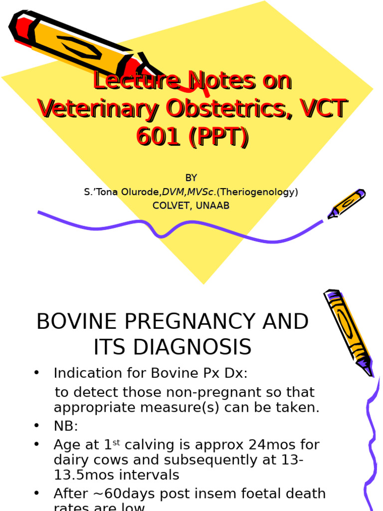 Bovine Pregnancy Diagnosis Methods | PDF | Childbirth | Uterus