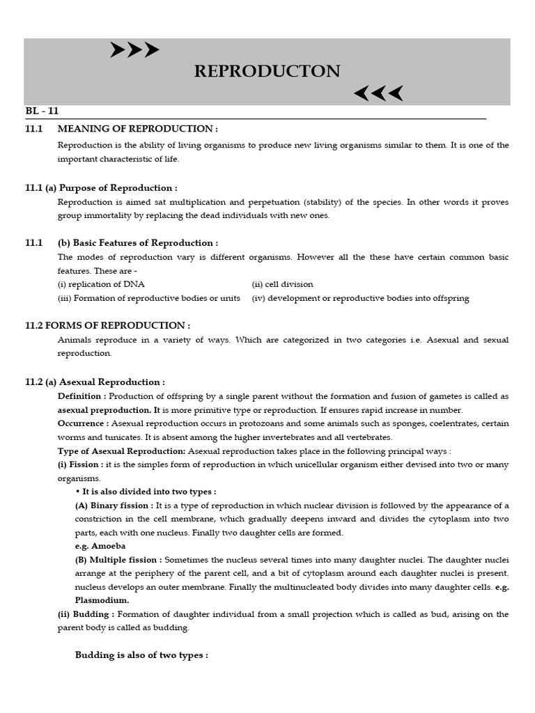 Biology part II | PDF | Flowers | Menstrual Cycle