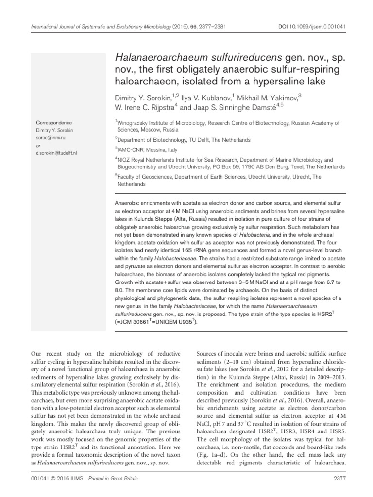 Sorokin 2016 Halanaeroarchaeum Sulfurireducens Gen. Nov., Sp. | PDF | Archaea | Sulfur