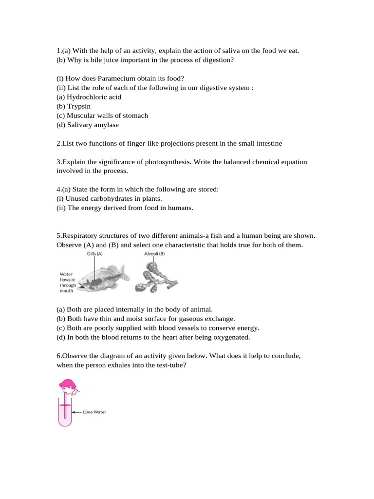 Practise Paper Life Process | PDF