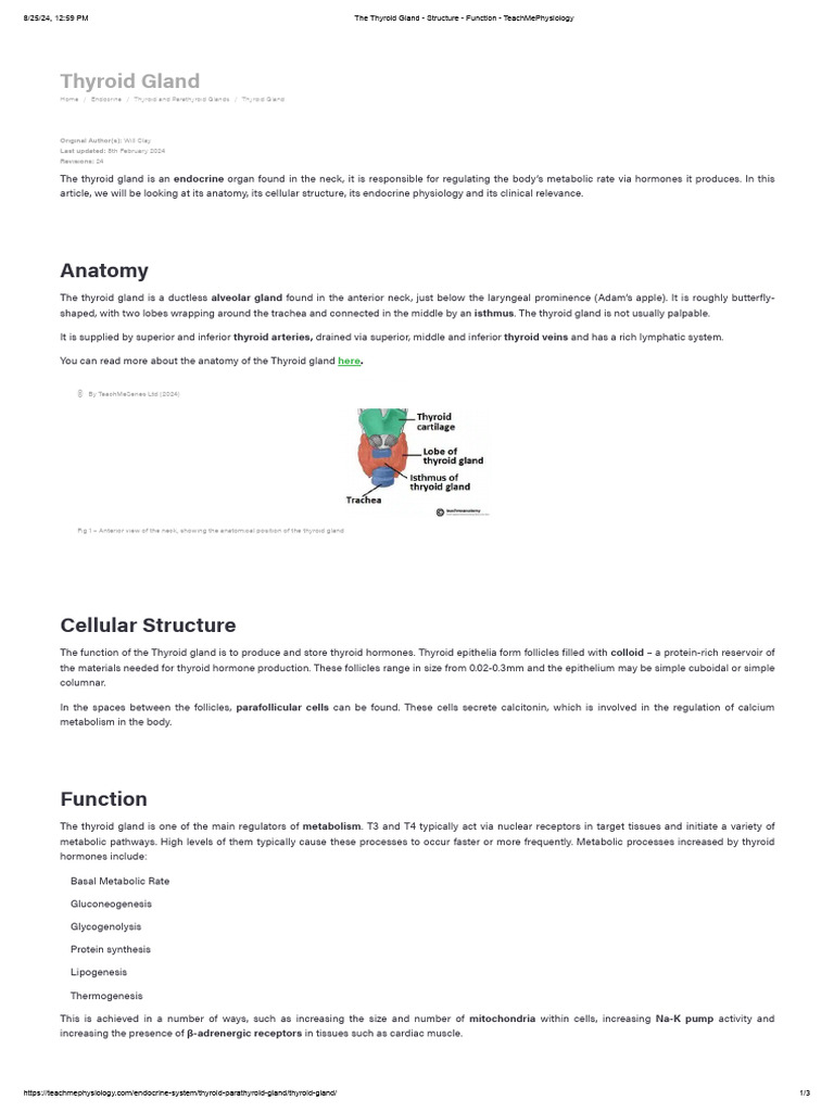 The Thyroid Gland - Structure - Function - TeachMePhysiology | PDF | Thyroid | Hypothyroidism