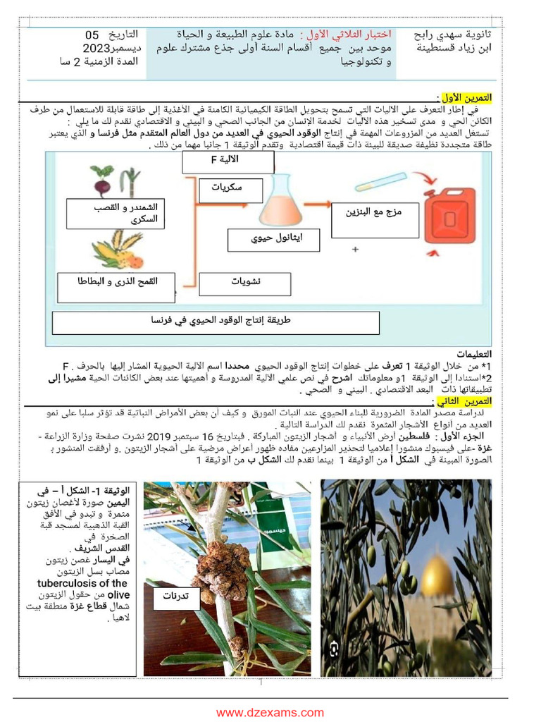 Dzexams 1as Sciences Naturelles 940986 | PDF