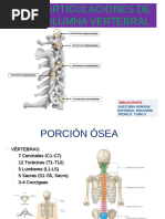 Articulaciones y Ligamentos de La Columna | PDF