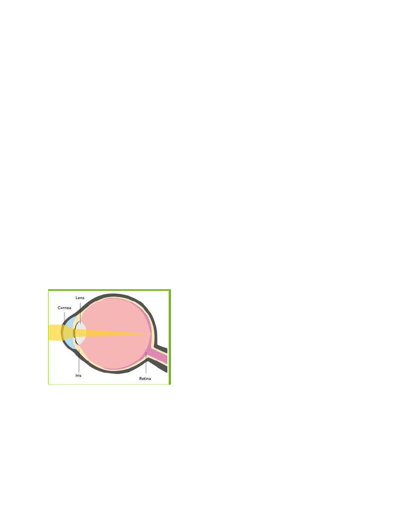 How Eye Works | PDF