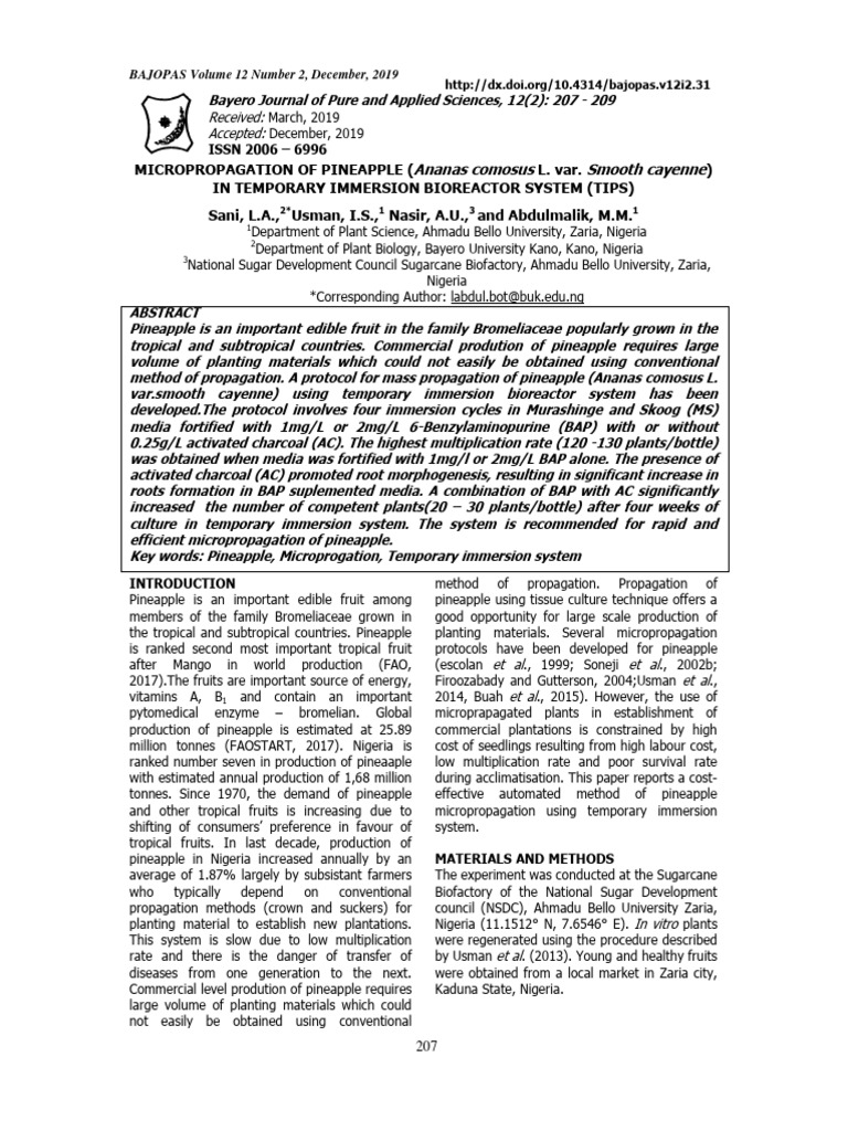 Pineapple Micropropagation via TIB System | PDF | Pineapple | Biology