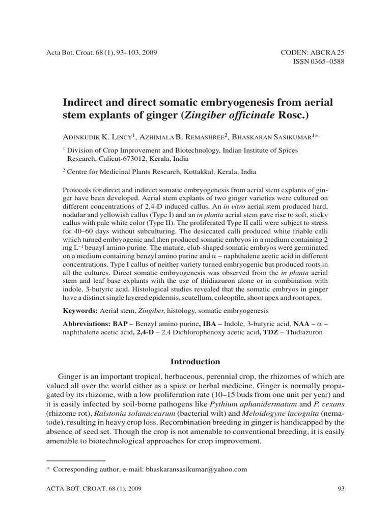 Ginger (Indirect and Direct Somatic Embryogenesis From Aerial Stem ...
