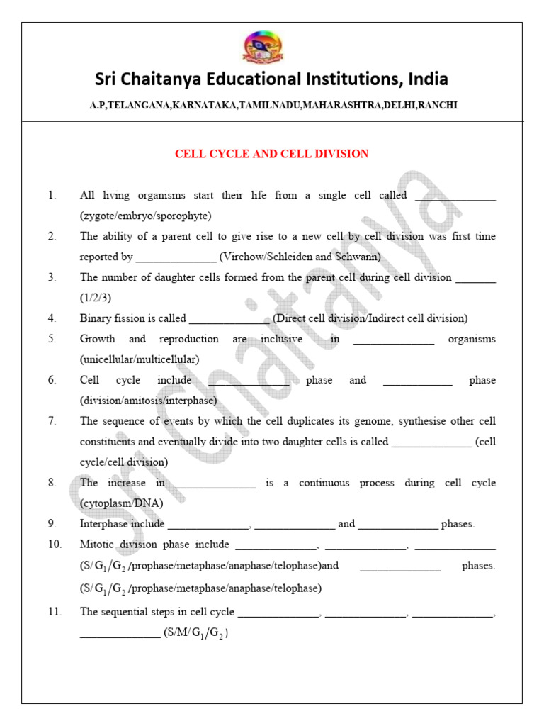 Cell Cycle and Division Overview | PDF | Meiosis | Mitosis