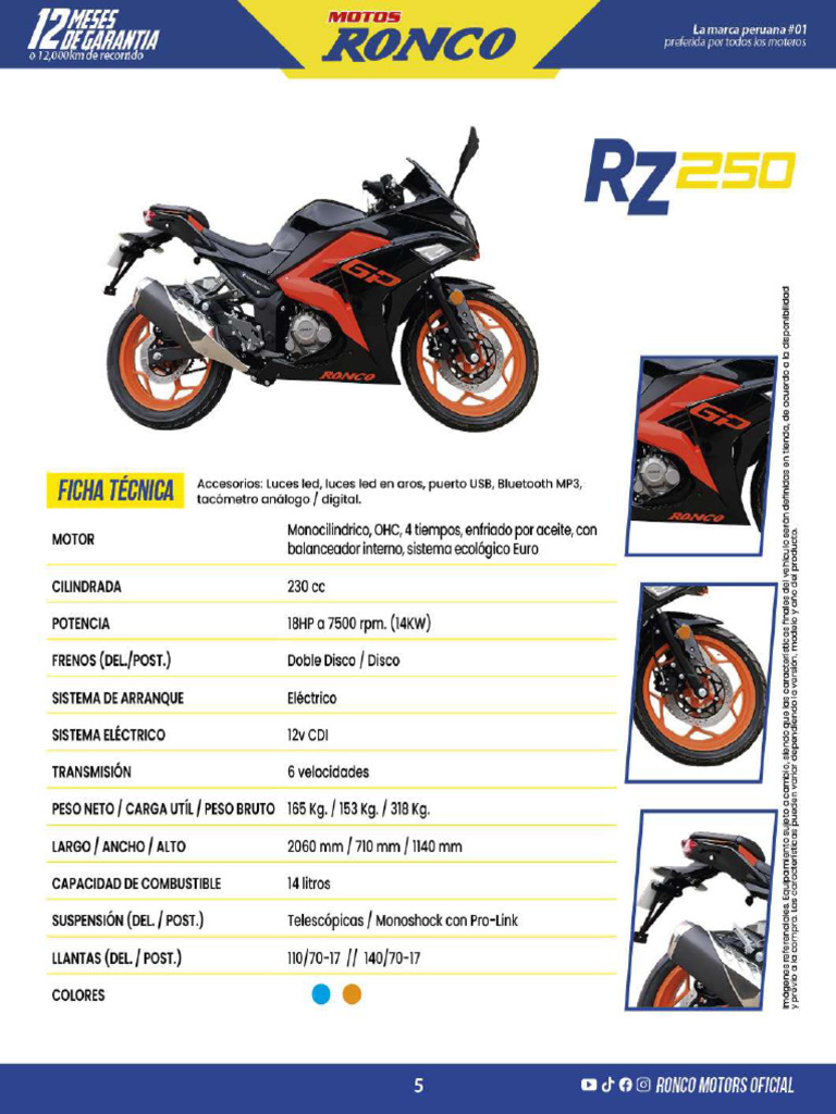 RZ 250 Ficha Tecnica | PDF