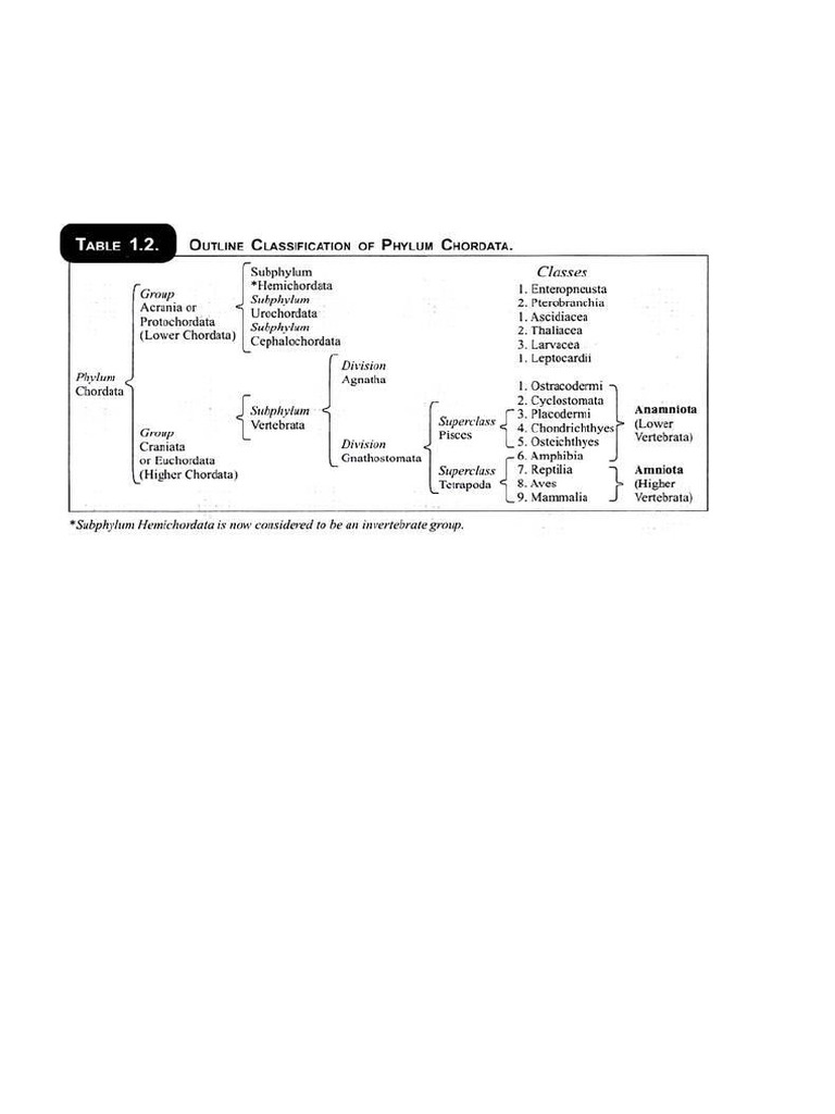 DS - Zoology - Classification of Phylum Chordata - Sem3 | PDF | Fish