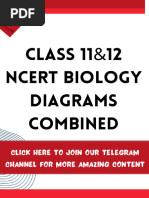 180 Q OMR Sheet For NEET 2025 | PDF | Optical Character Recognition ...
