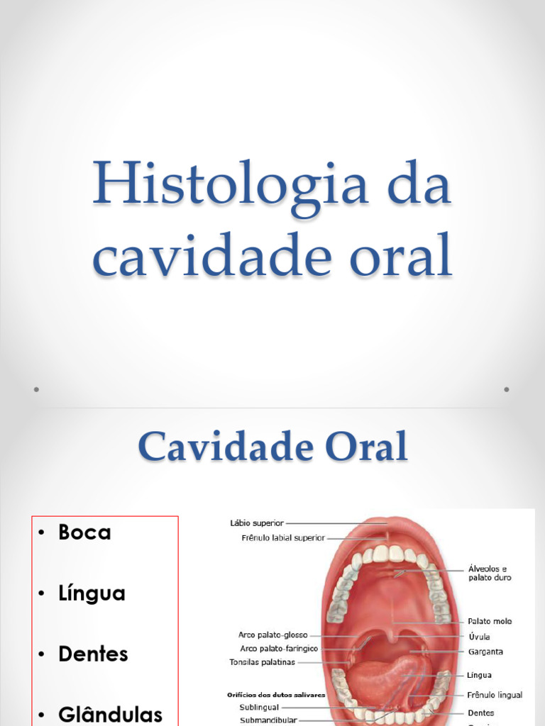 Estrutura Histológica da Cavidade Oral | PDF | Boca | Língua