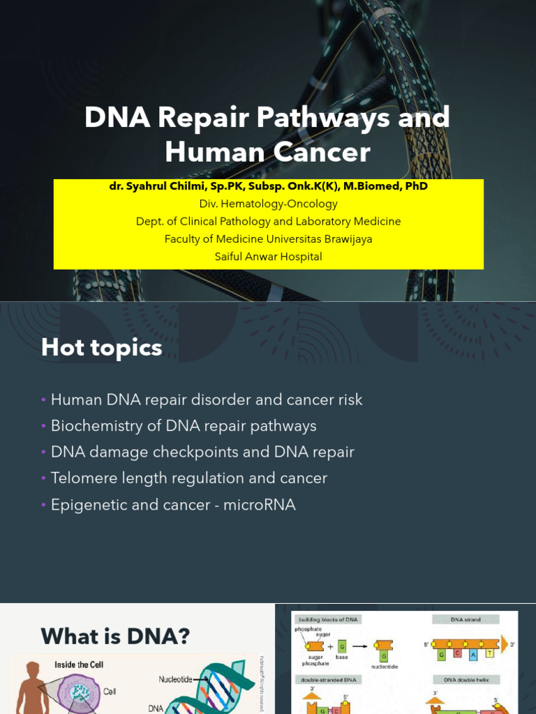 MODUL A - Dr. Chilmi DNA Repair Pathways and Human Cancer | PDF | Dna Repair | Micro Rna