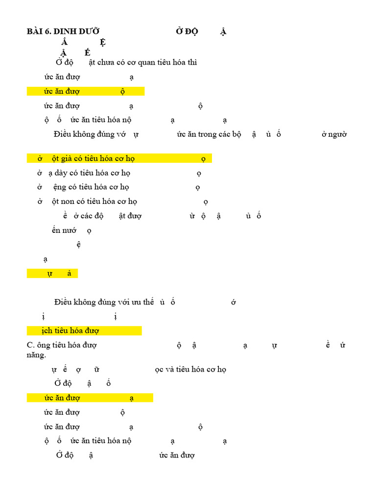 Bài 6 Ktra Gki | PDF