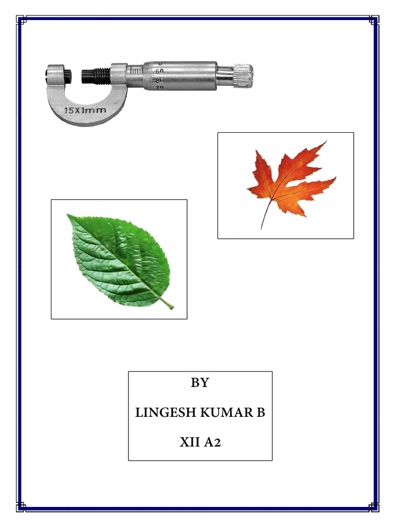 Lamina | PDF