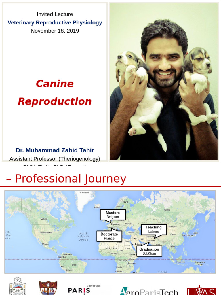 Canine Reproduction. MZ Tahir | PDF | Pregnancy | Sexual Reproduction