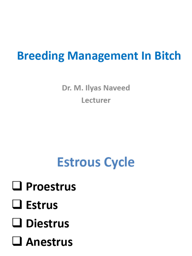 Breeding Management in Bitch | PDF | Reproduction | Reproductive System