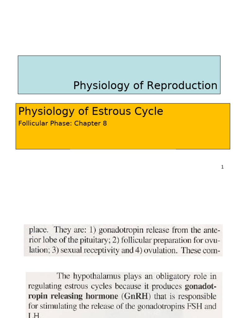 Estrous Cycle Physiology Explained | PDF