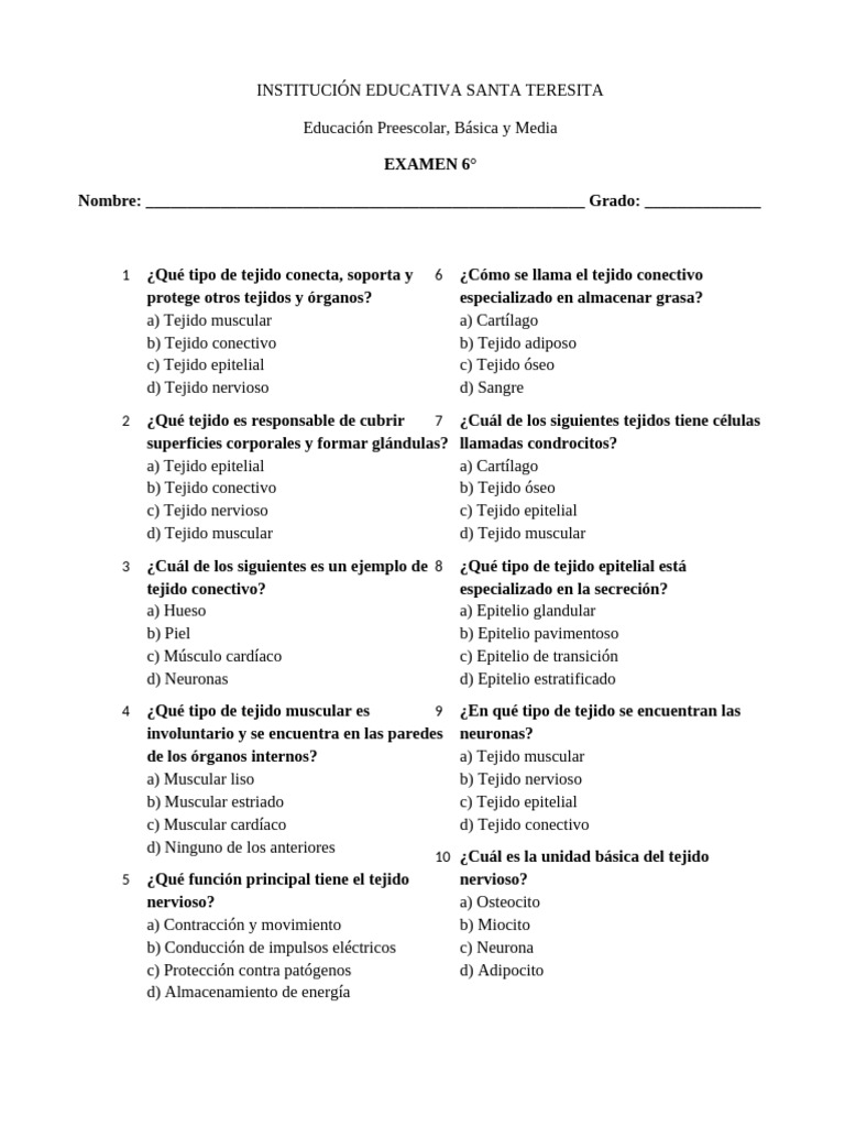 Examen 6° sobre Tipos de Tejidos | PDF | Músculo | Epitelio