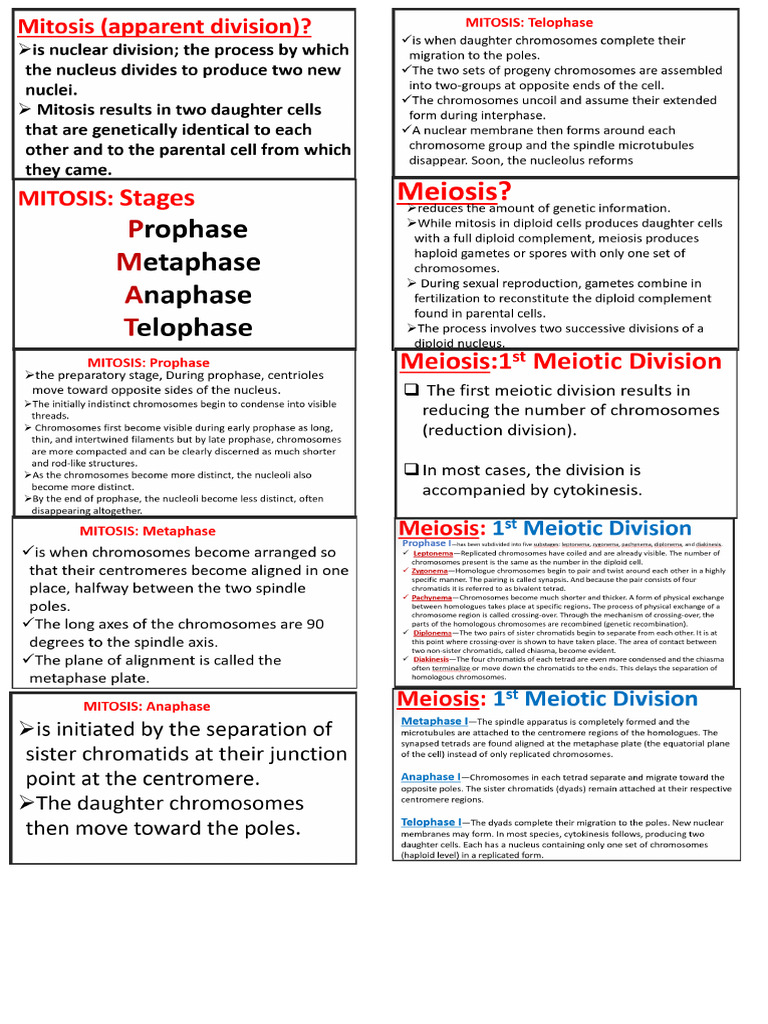 Genbio Notes 1 | PDF