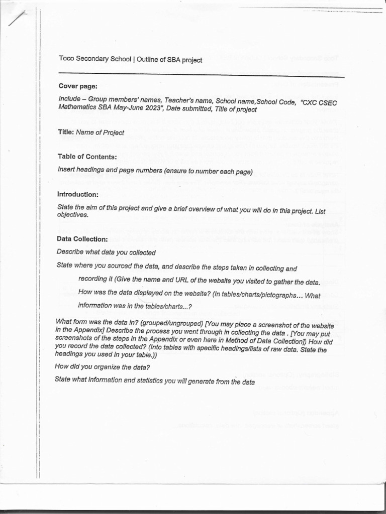 Outline of SBA Project-TSS | PDF