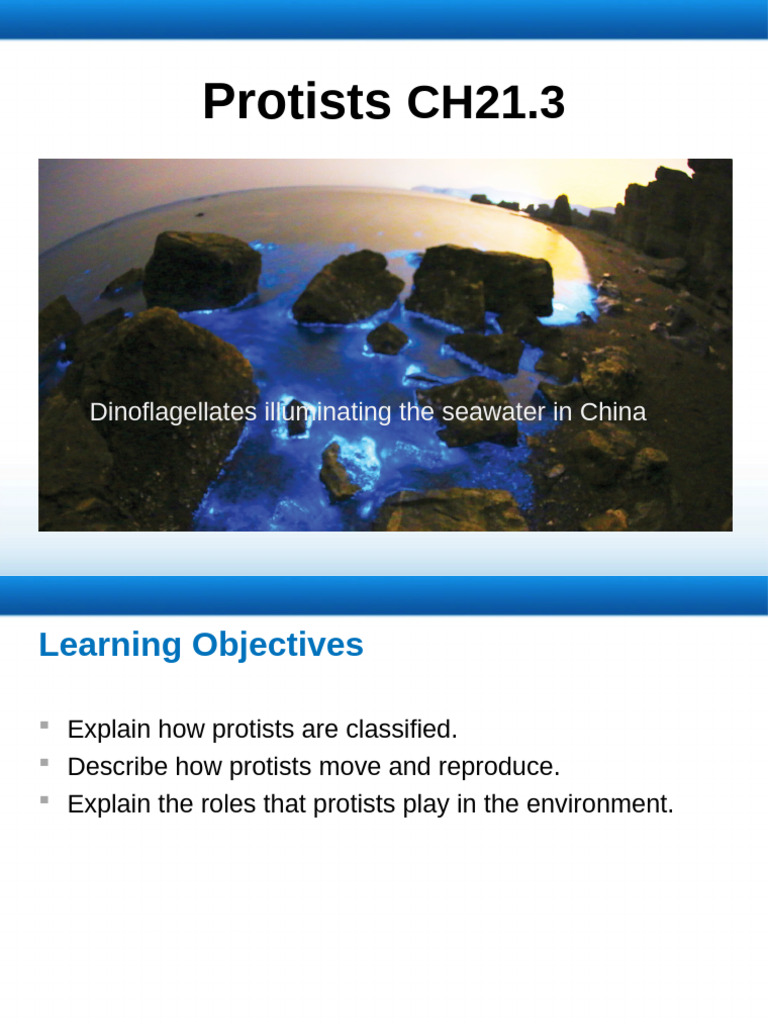 Protista CH 21.3 Hago | PDF | Sexual Reproduction | Biology
