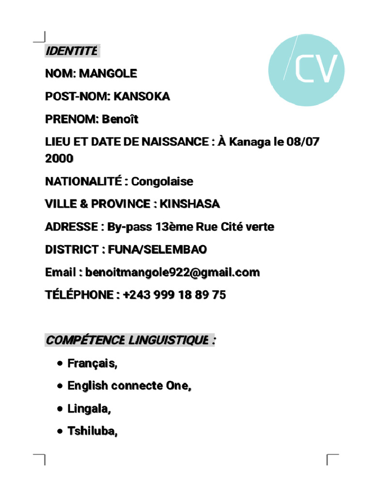 CV Benoît Phoenix | PDF