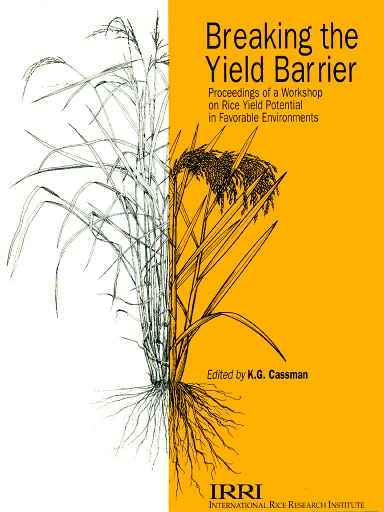 Content | PDF | Rice | Plant Breeding