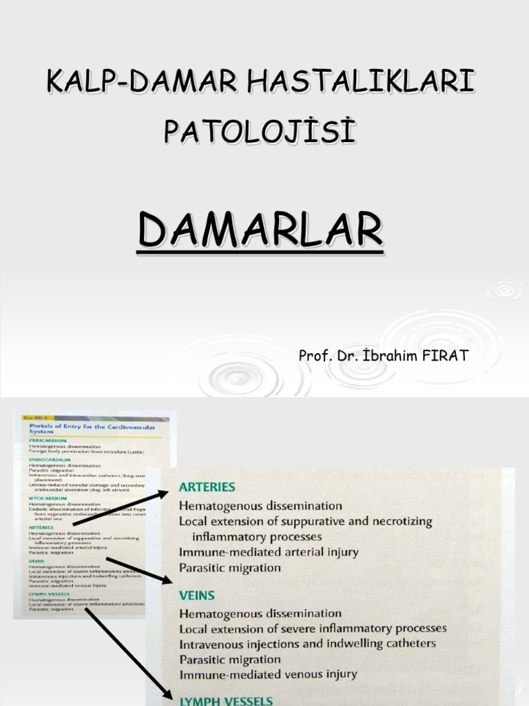 ozel-patoloji-b-ii_10.hafta-kardiyovaskuler-sistem-patolojisi-damar | PDF