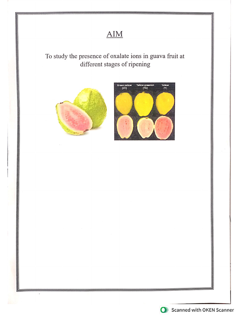 Chemistry Project (Model) | PDF