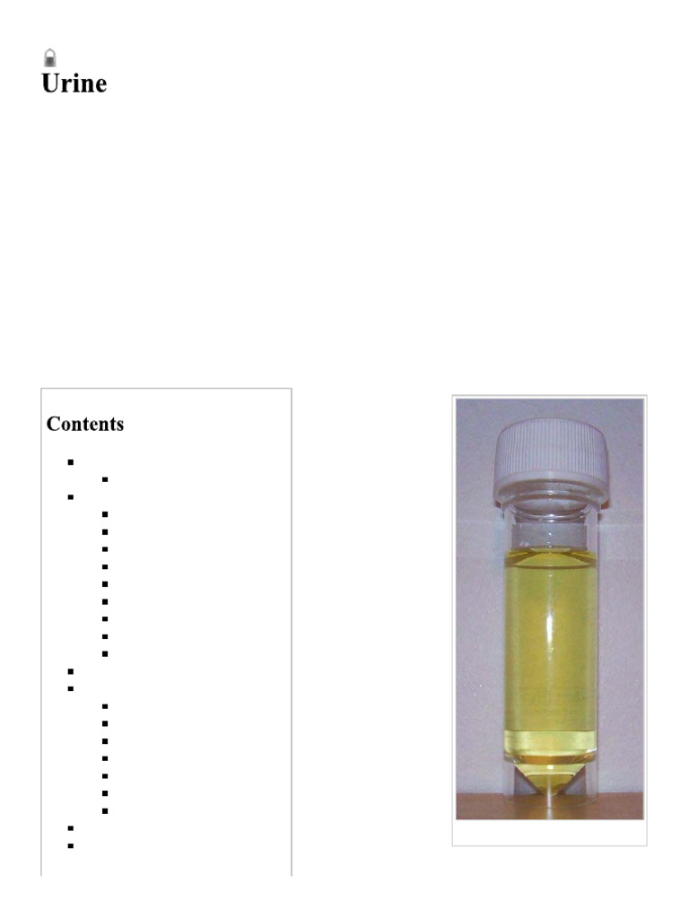 Urine-2017 - PDF - Anna's Archive | PDF | Urine | Urinary System