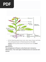 Floral Formulas and Diagrams Explained | PDF | Petal | Flowers