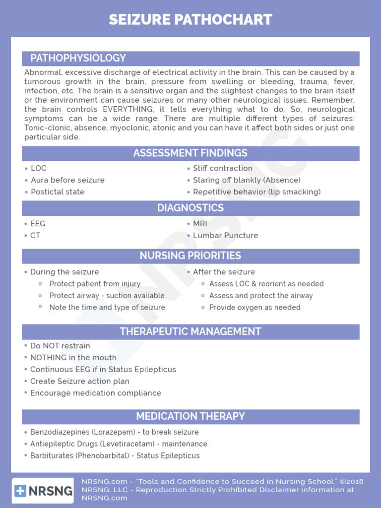 Cs Neuro 008 Seizure - Patho - Chart 1 | PDF
