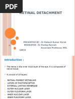 Understanding White Without Pressure (WWOP) | PDF | Vision | Ophthalmology