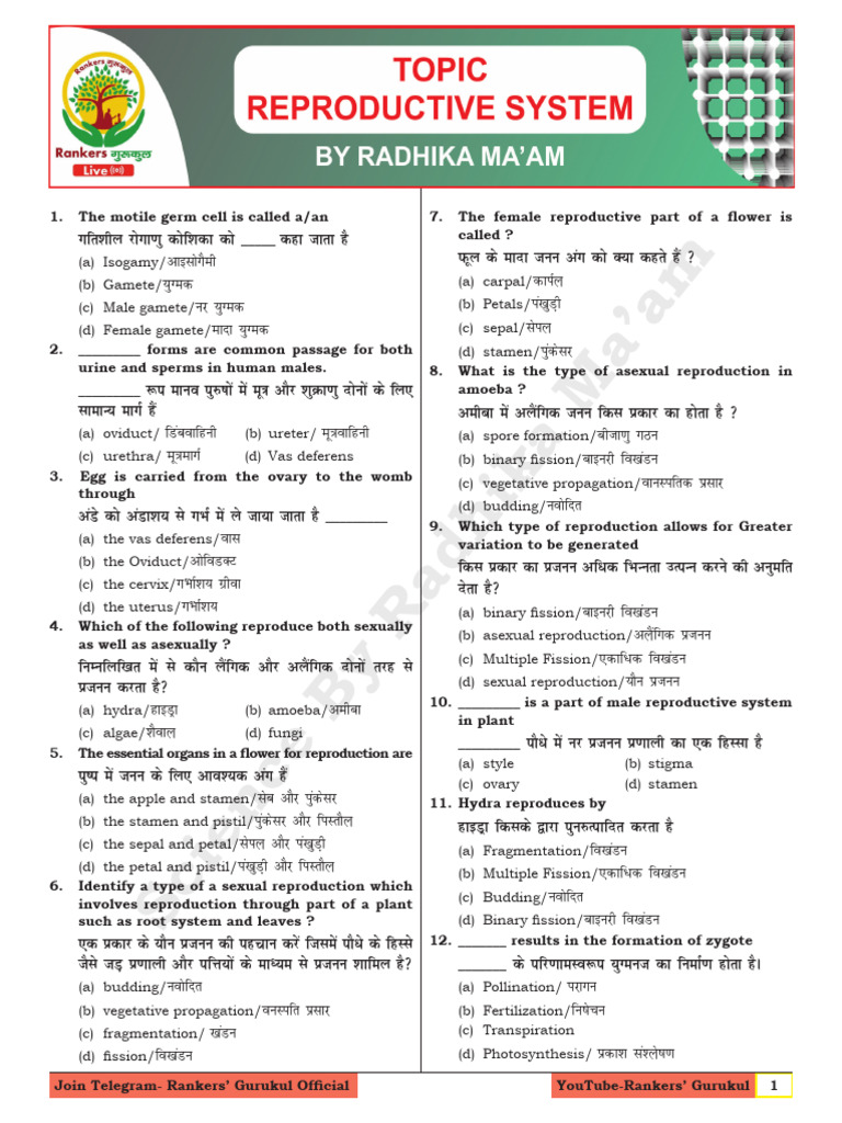 Reproductive System Practice Sheet | PDF | Menstrual Cycle | Reproduction