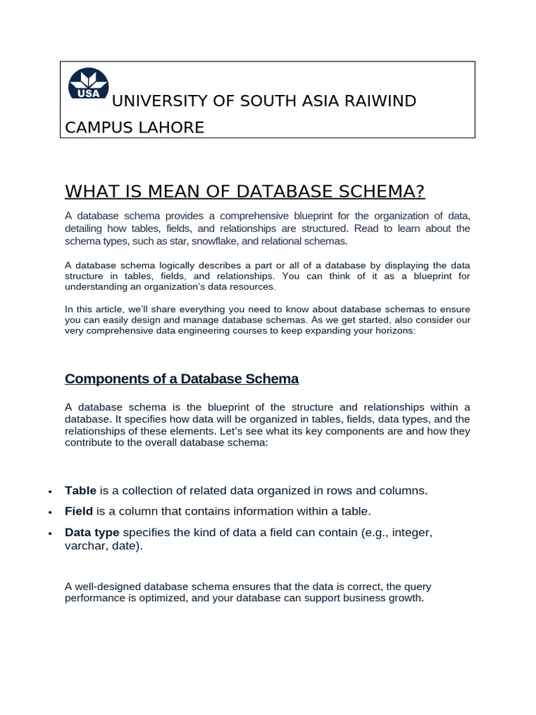 DATABASE SCHEMA COMPLETE LECTURE-BSCS 4 TO 5 TH SEM -FALL 2024 | PDF | Databases | Database Schema