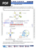 CÂU HỎI ĐÚNG SAI NUCLEIC ACID | PDF