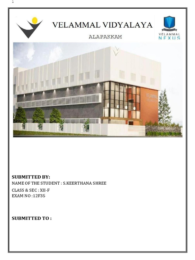 SHREE (1) | PDF | Computer Programming | Software