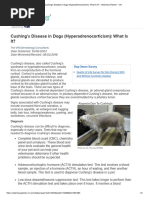 Canine ACTH Stimulation Test Protocol | PDF | Health Care | Medical ...