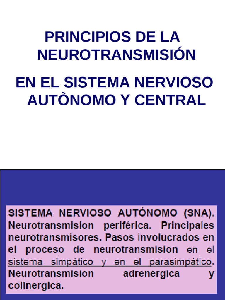 Presentación SNA Y SNC | PDF | Acetilcolina | Norepinefrina