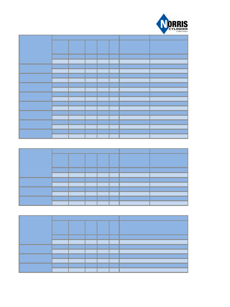 Norris Cylinder Specialty Specifications | PDF | Carbon Dioxide | Litre