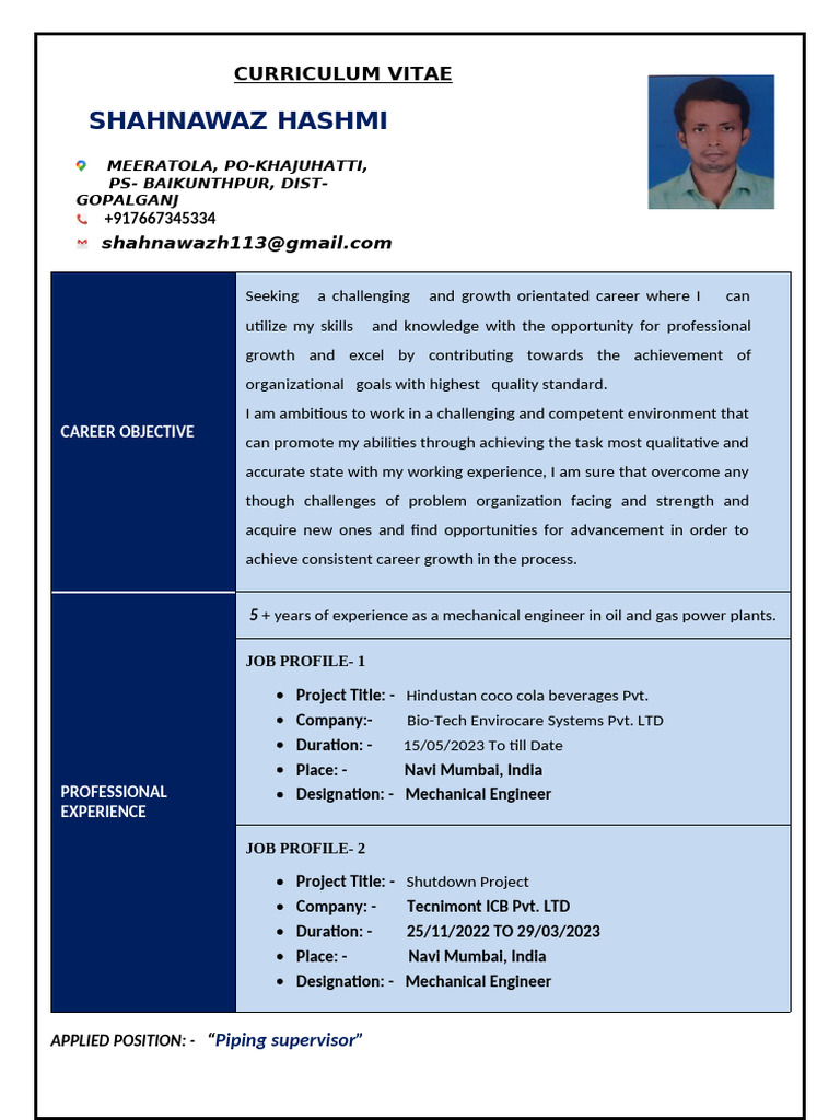 CURRICULUM VITAE-02 - Copy | PDF