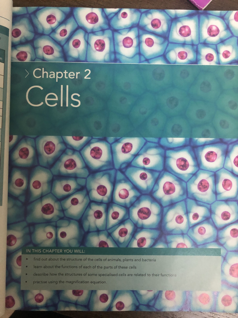 Chapter 2 Biology | PDF