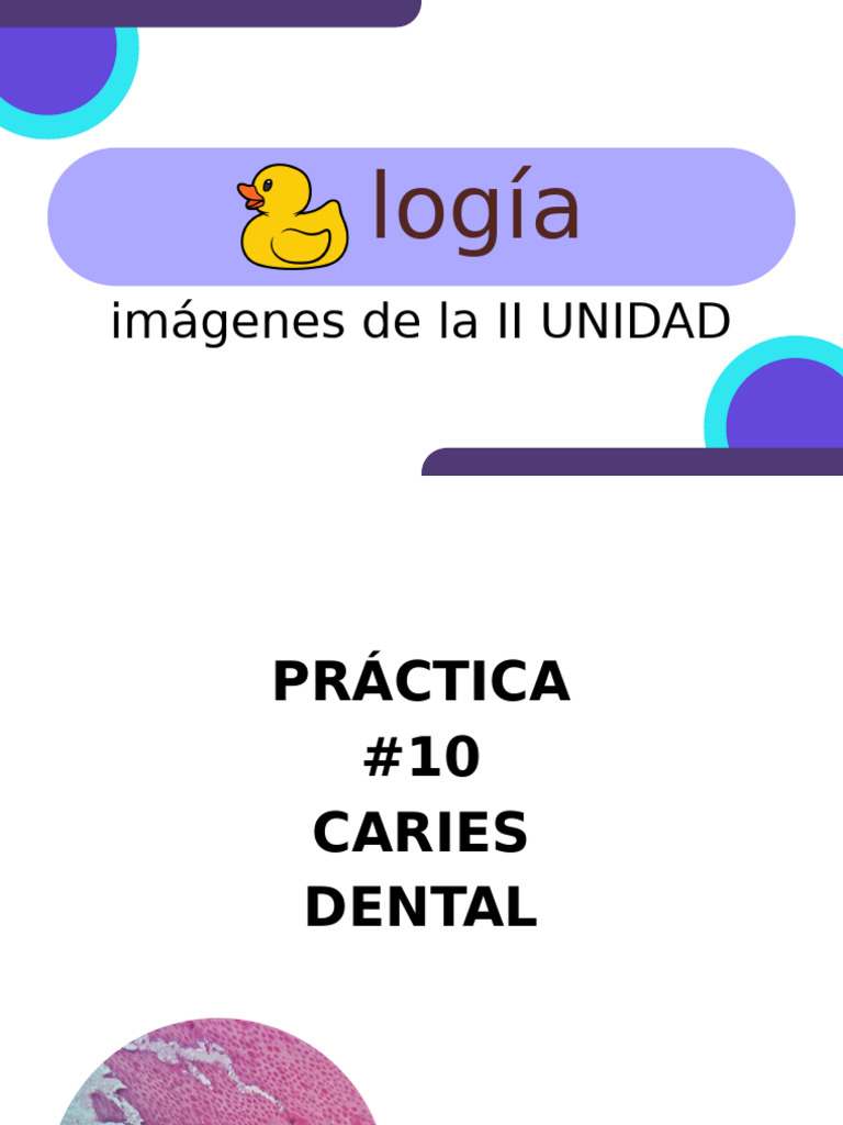 Pato Práctica Segunda Unidad | PDF