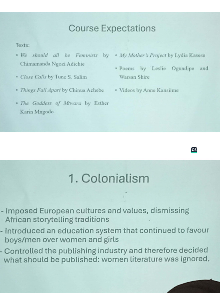 African Women Writer LT 310 | PDF