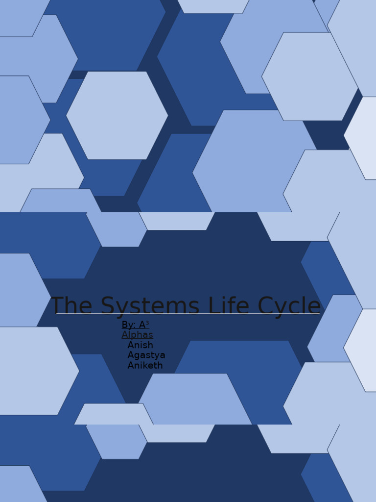 The Systems Life Cycle ICT | PDF